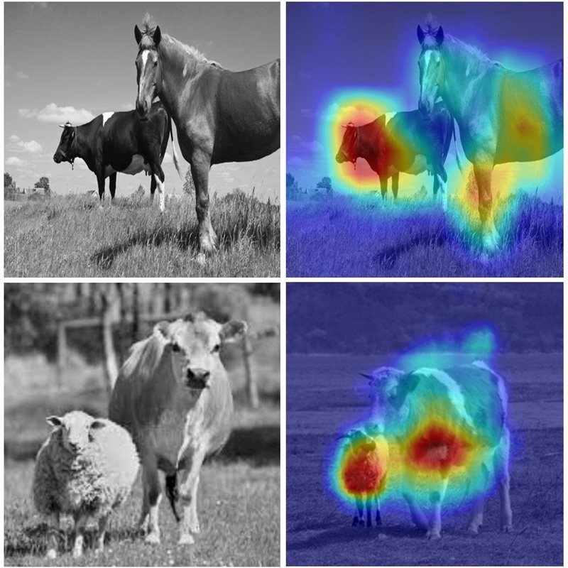 Researchers Detect And Classify Multiple Objects Without Images